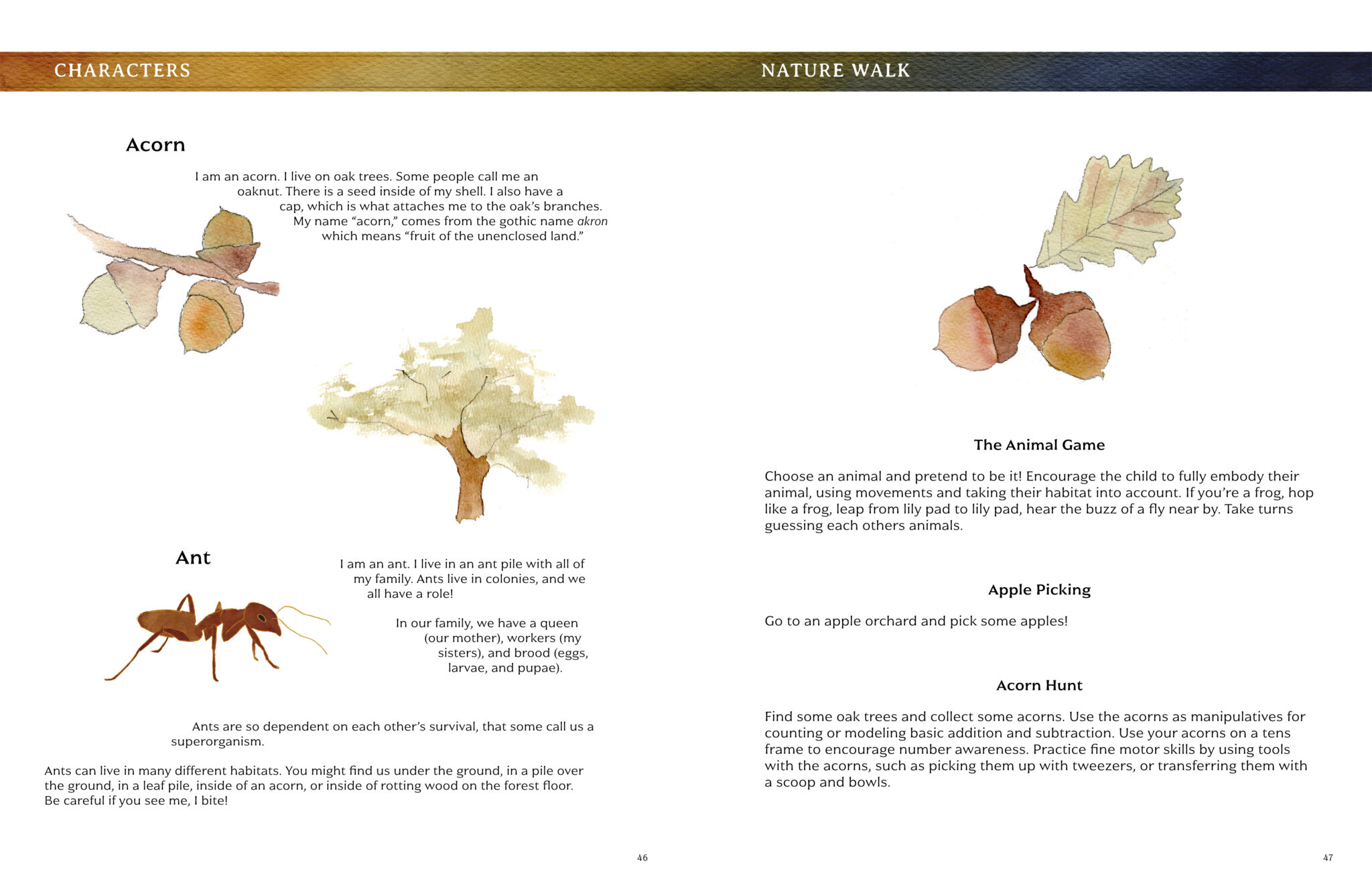 Alphabet Forest PDF – Acorn to Oak