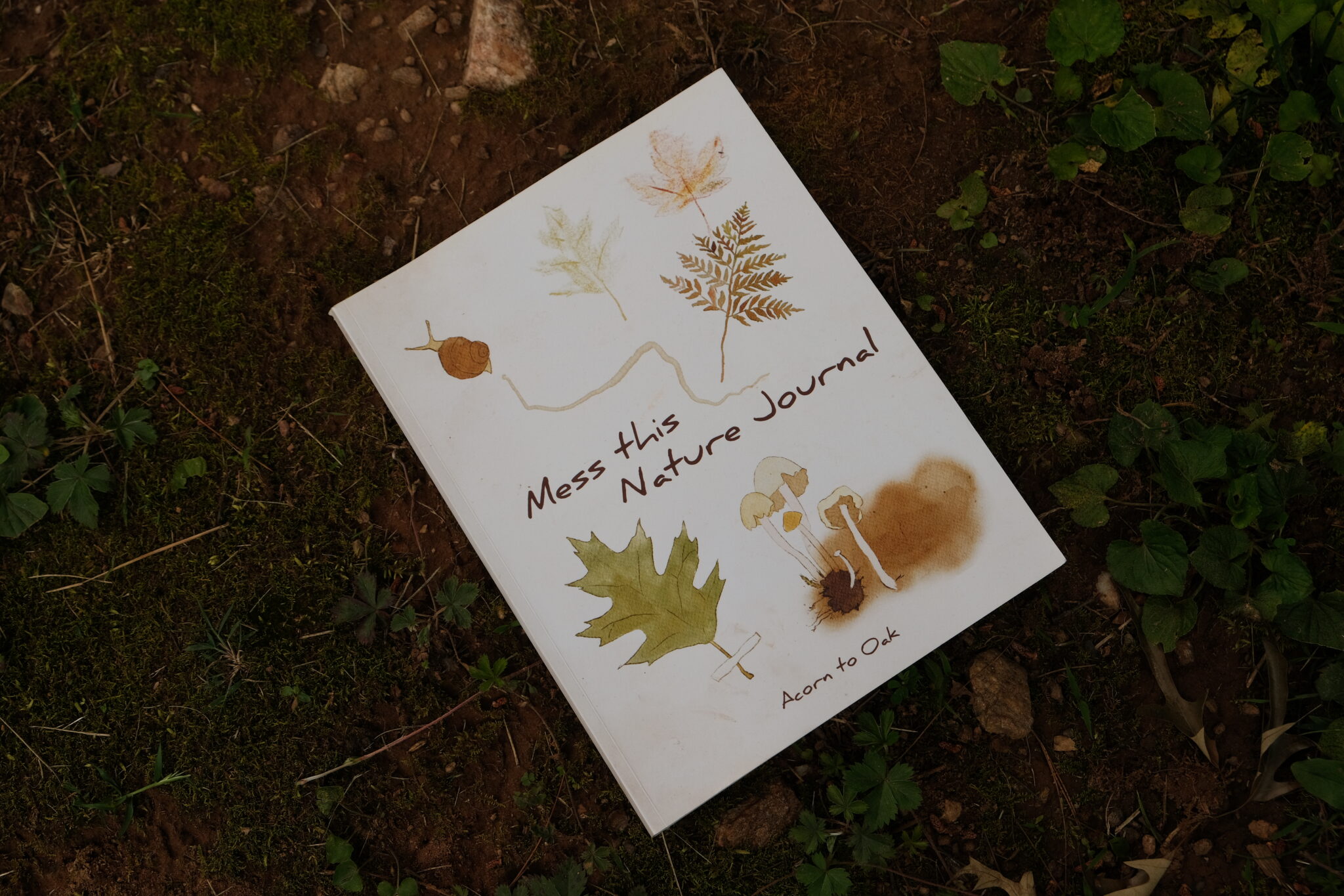 Mess This Nature Journal – Acorn to Oak