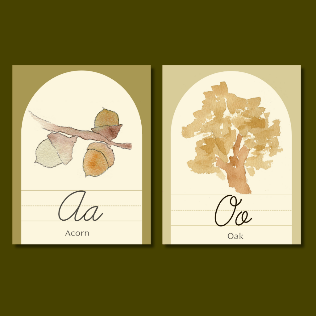 Cursive Alphabet Handwriting – Acorn to Oak