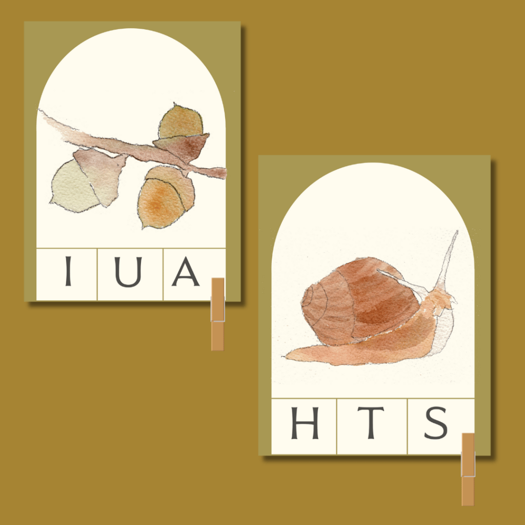Beginning Letter Clip Cards – Acorn to Oak